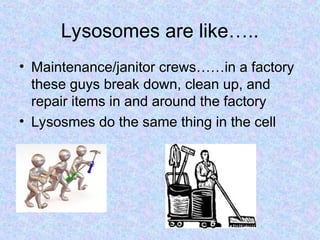 cell theory lecture for biologist introduction | PPT