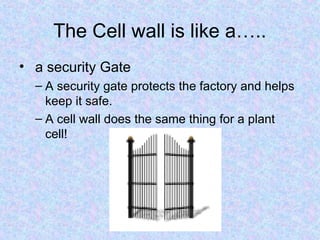 cell theory lecture for biologist introduction | PPT