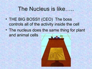 cell theory lecture for biologist introduction | PPT
