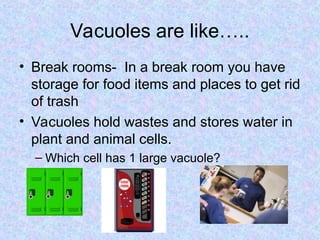 cell theory lecture for biologist introduction | PPT