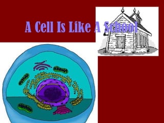 A Cell Is Like A School[1] | PPT