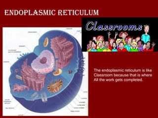 A Cell Is Like A School[1] | PPT