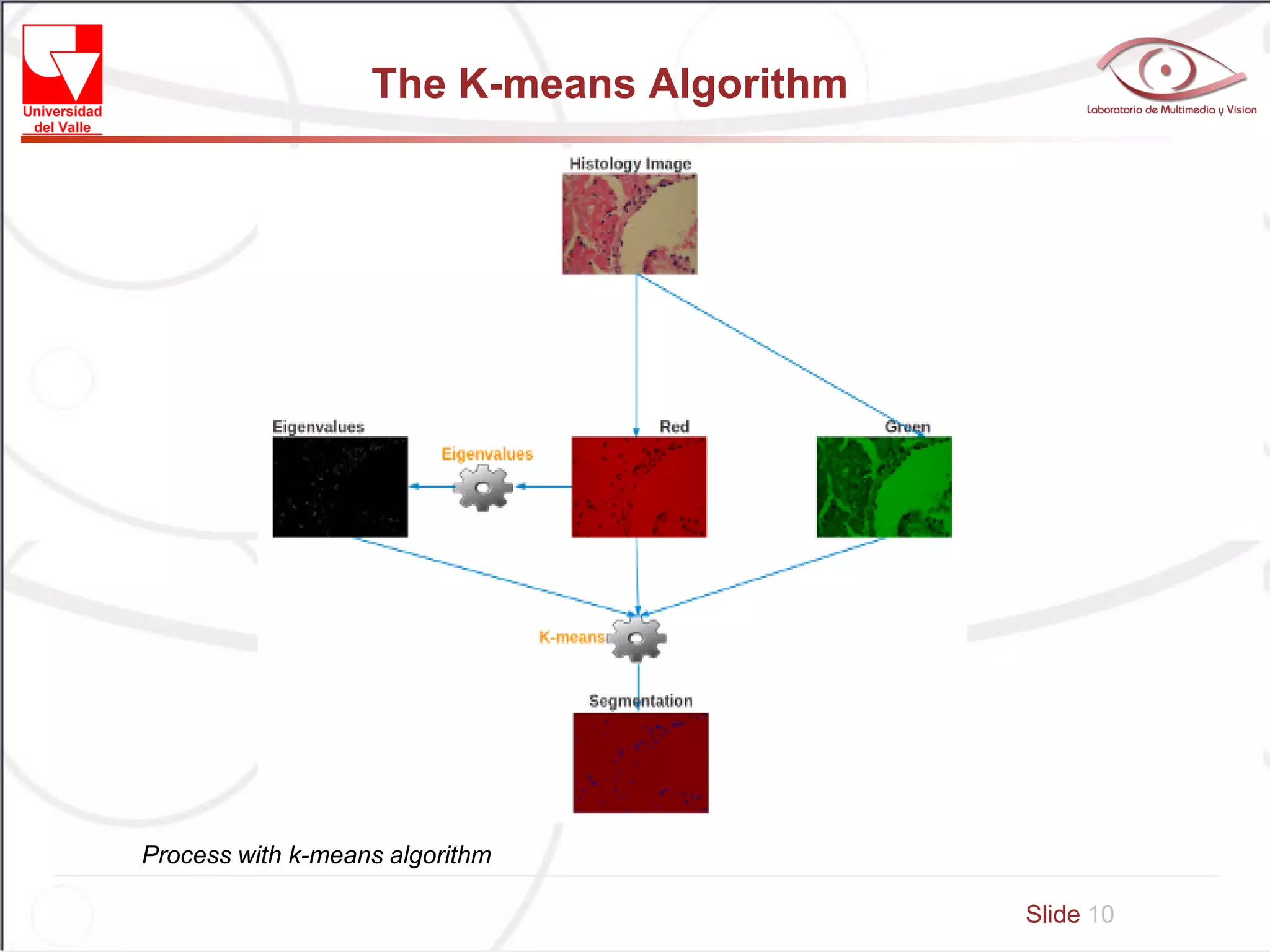 A Cells Segmentation Approach in Epithelial Tissue using Histology ...