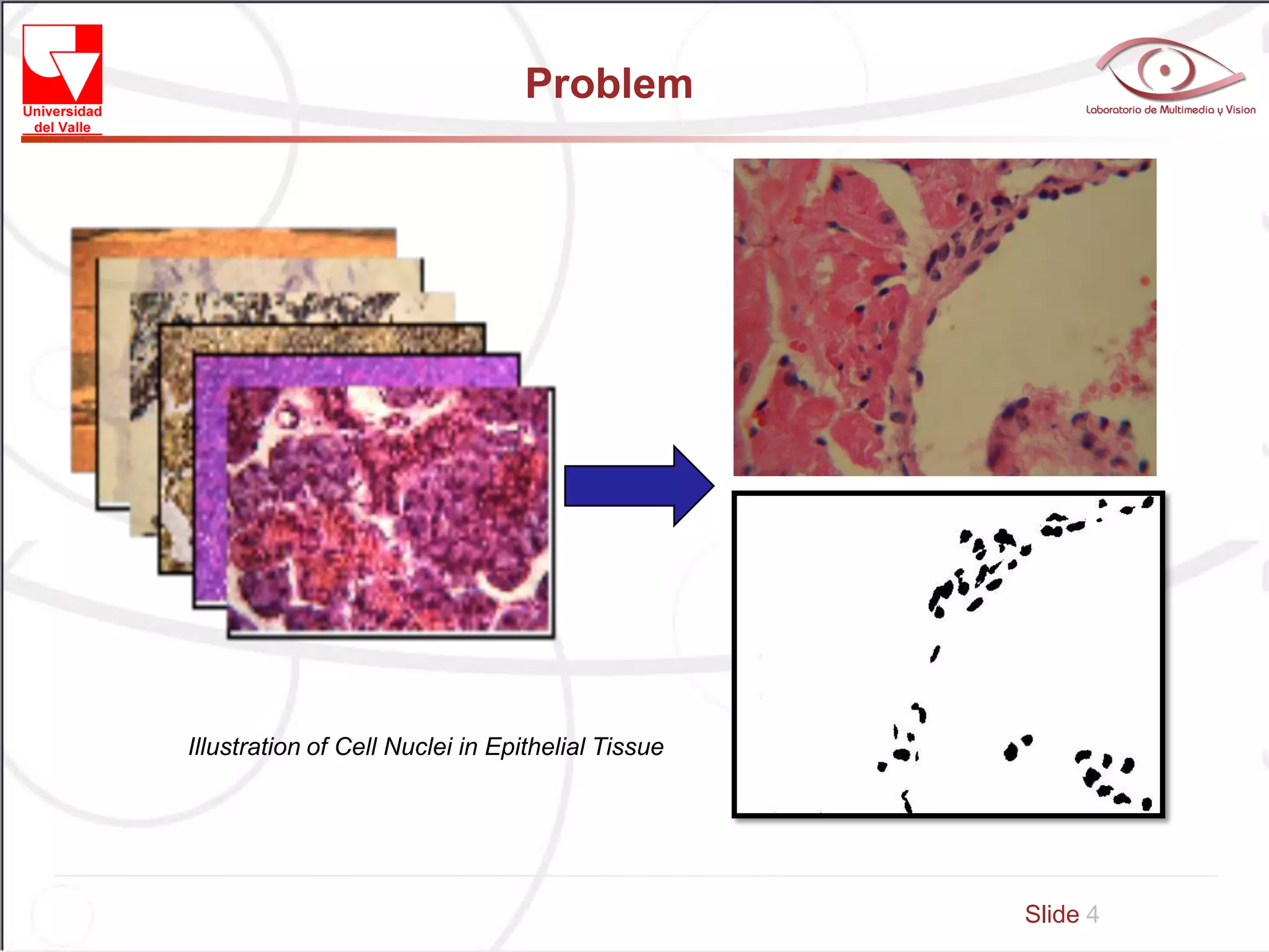 A Cells Segmentation Approach in Epithelial Tissue using Histology ...