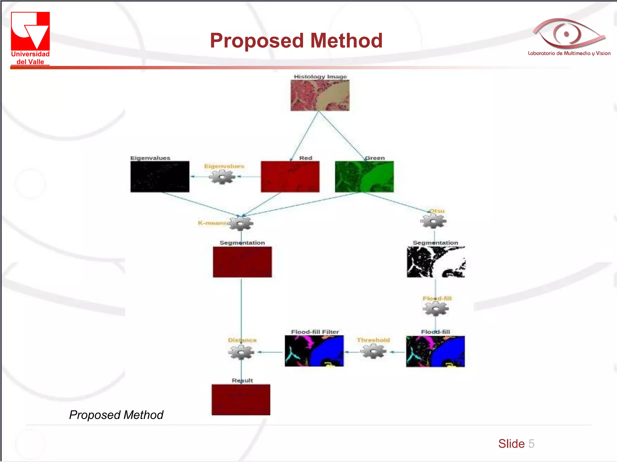 A Cells Segmentation Approach in Epithelial Tissue using Histology ...