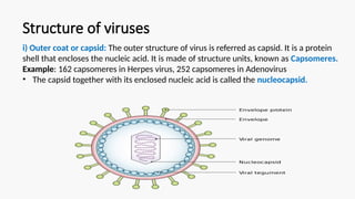 Characteristics , structure and Life cycle of virus.pptx