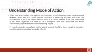 Acellular matrices (for wound management) | PPTX