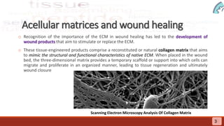 Acellular matrices (for wound management) | PPTX