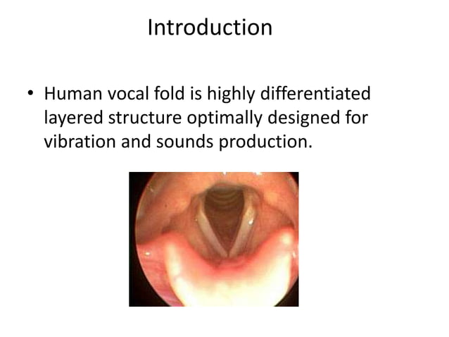 Acellular tissue engineering scaffolds for vocal fold regeneration ...