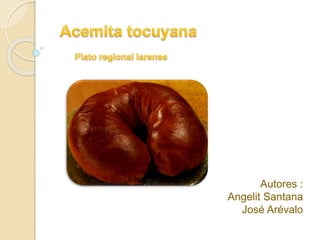 Acemita tocuyana | PPTX