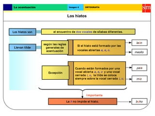 Acentuación | PPT