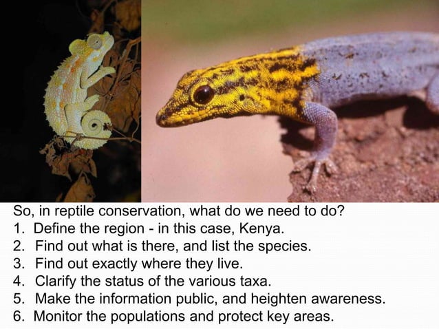 A Century of Kenyan Herpetology by Stephen Spawls | PPTX