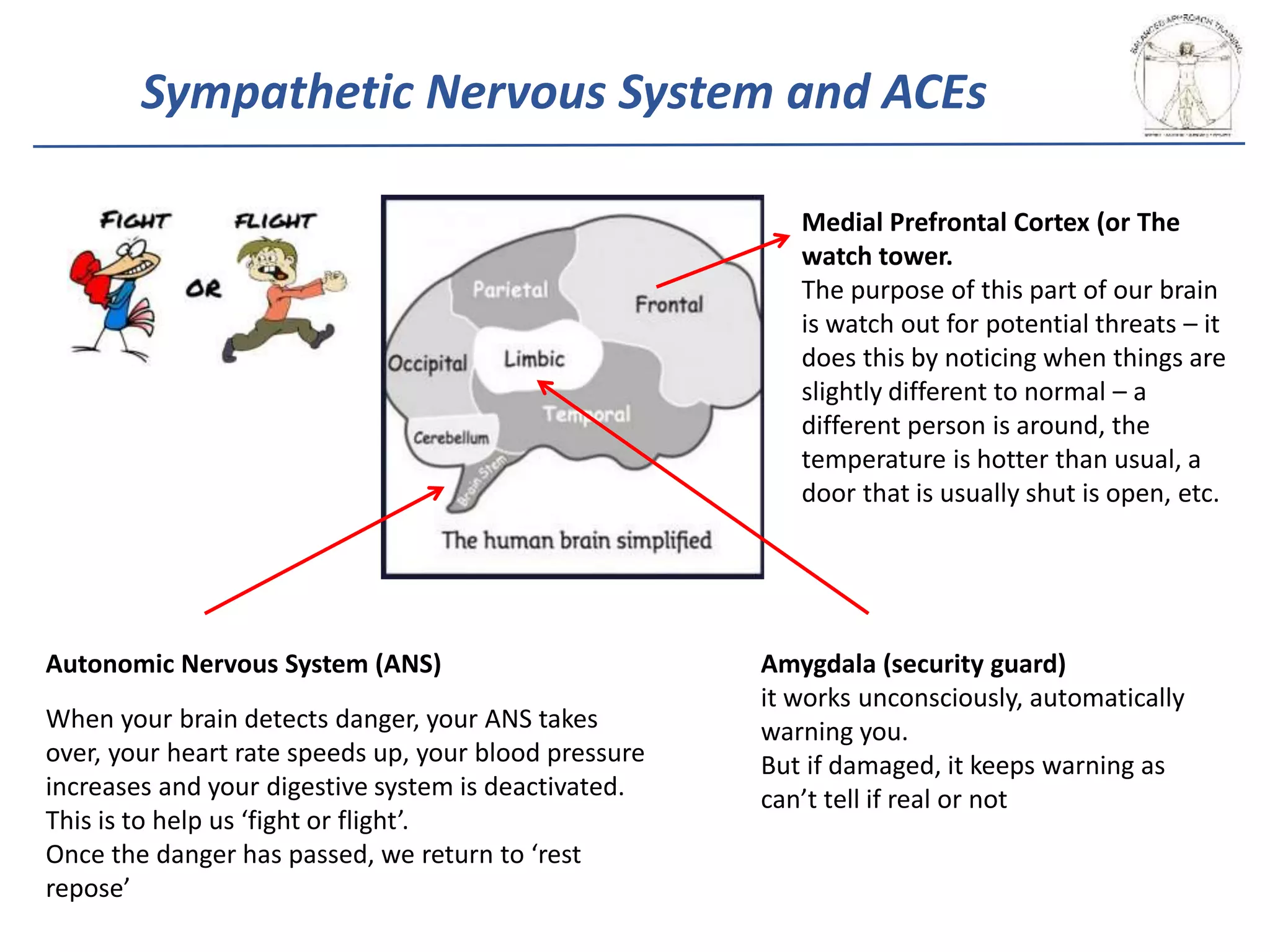 Ace presentation exploring Adverse Childhood Experiences | PPTX