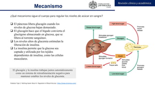 Acercamiento al paciente hipoglucémico 2023 | PDF