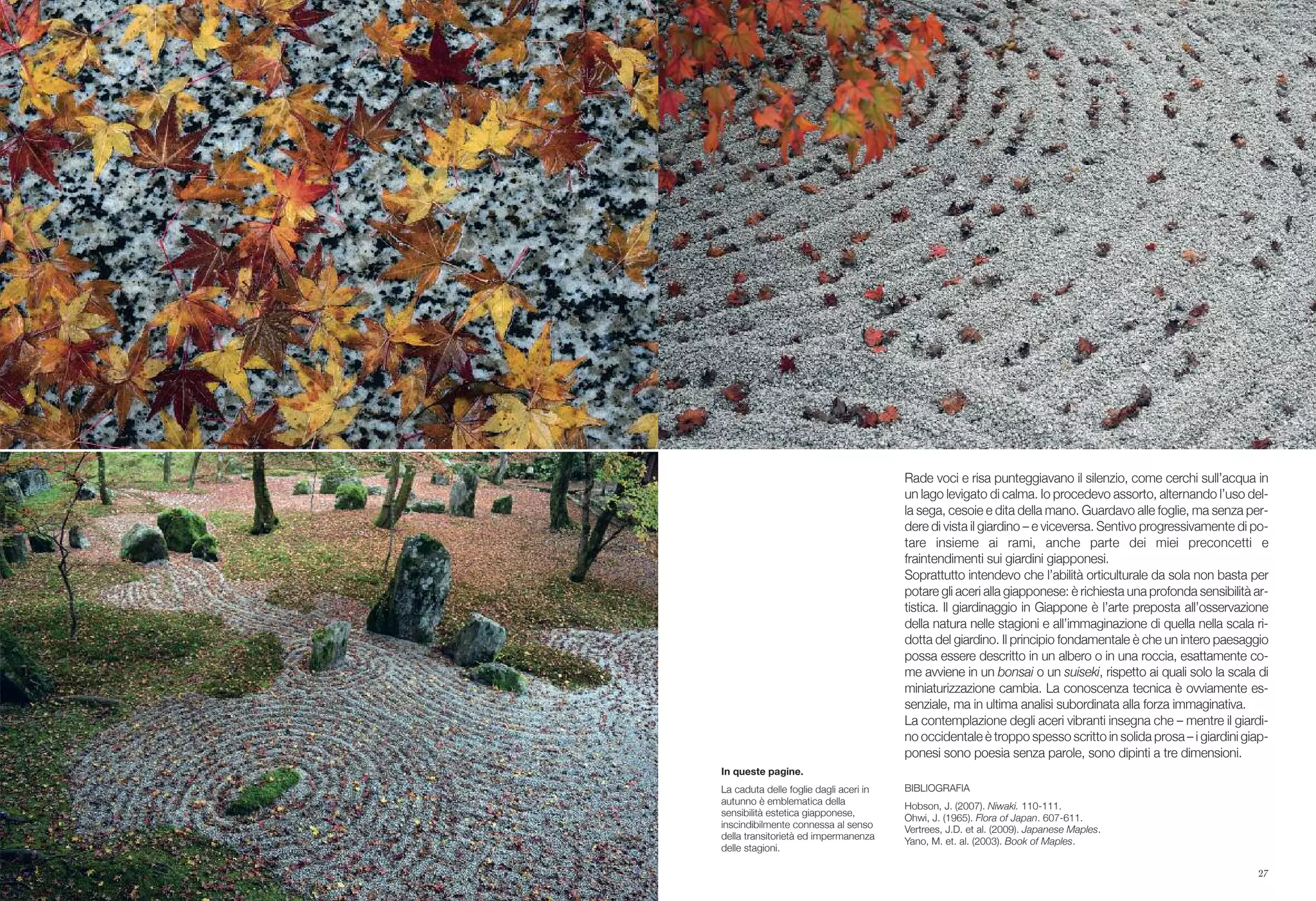 Aceri alla giapponese | PDF