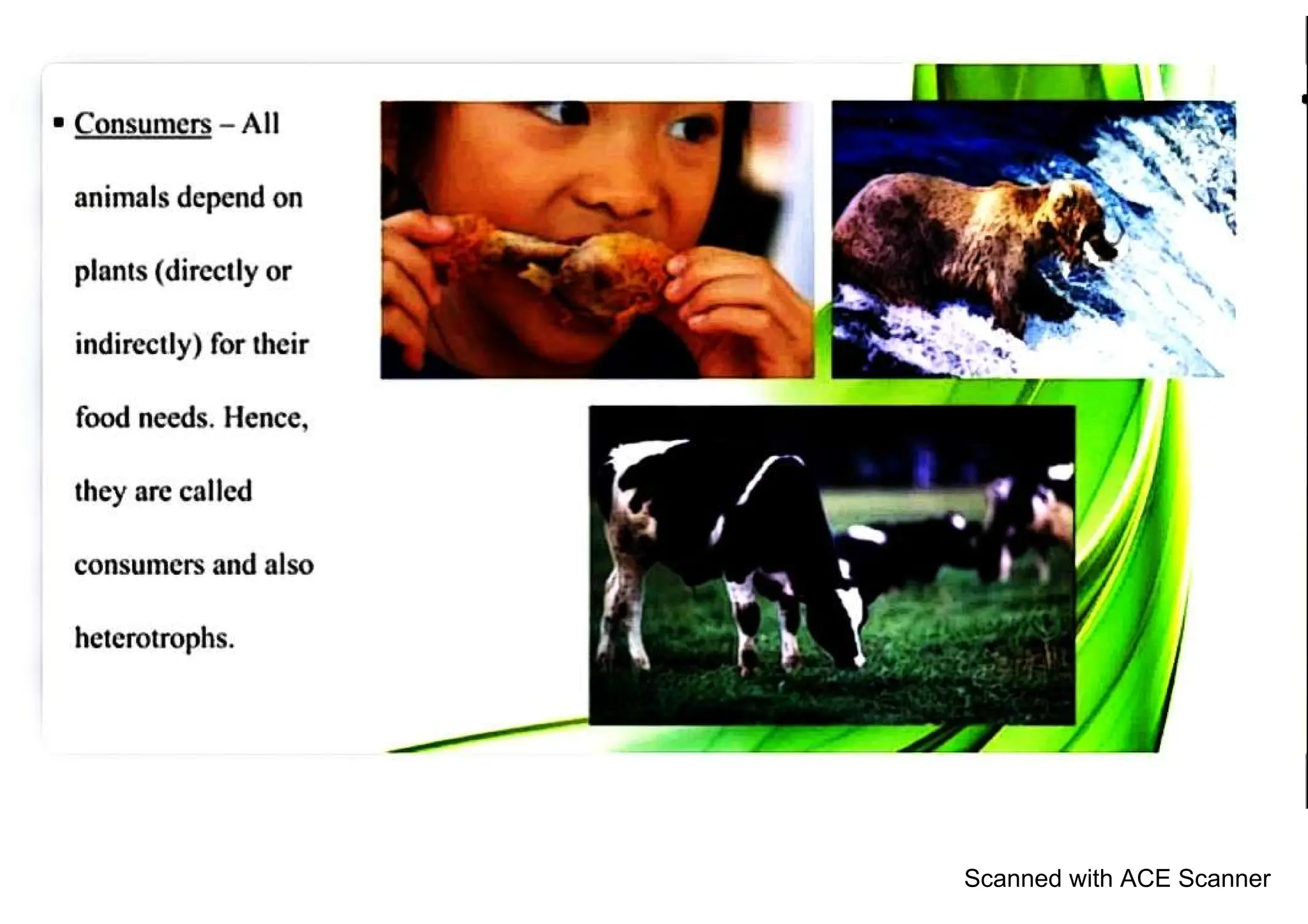 ACE Scanner Hostel jugad .pdf