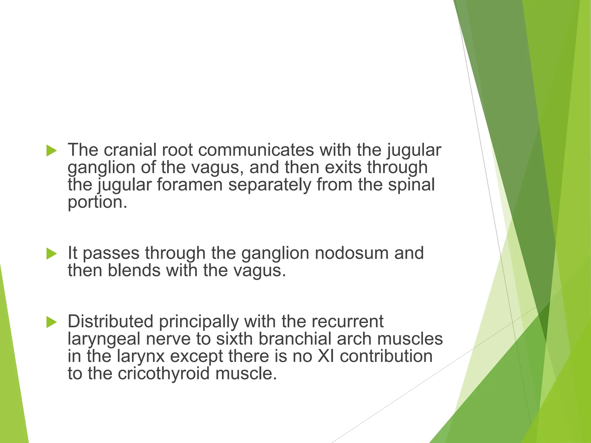 Acessory and Hypoglossal Nerves- Neurology | PPTX