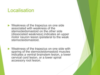 Acessory and Hypoglossal Nerves- Neurology | PPTX