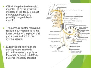 Acessory and Hypoglossal Nerves- Neurology | PPTX