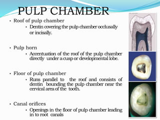 Access cavity ppt | PPTX