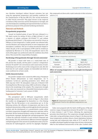 The Conversion of Magnesium Carbonates into Plaster-Like Products: A ...
