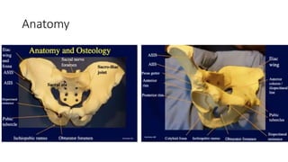 Acetabular Fracture.pptx
