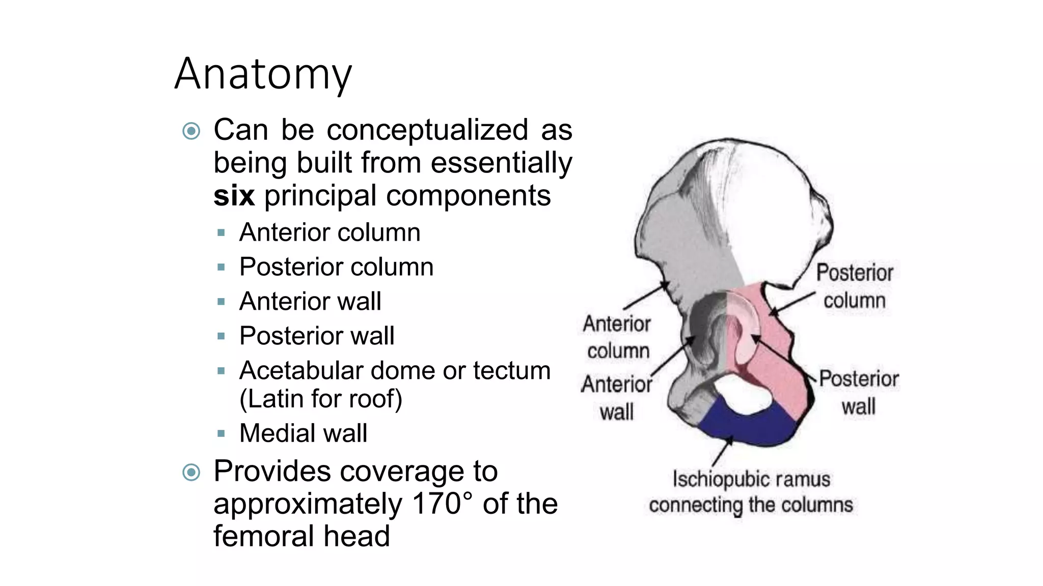 Acetabular fracture new | PPTX