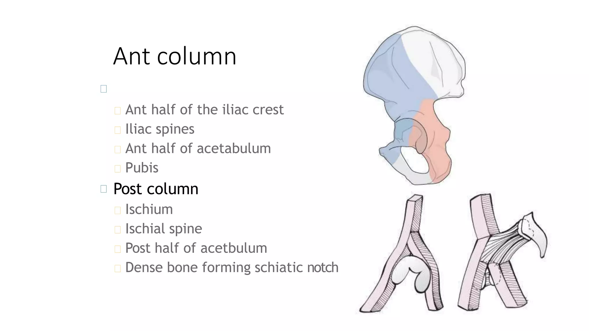 Acetabular fracture new | PPTX