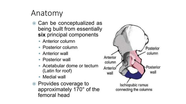 Acetabular fracture new | PPT
