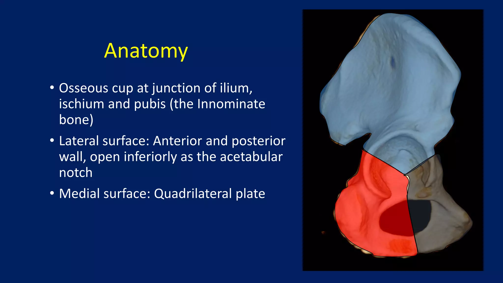 Acetabular fracture ppt 4th sem | PPTX