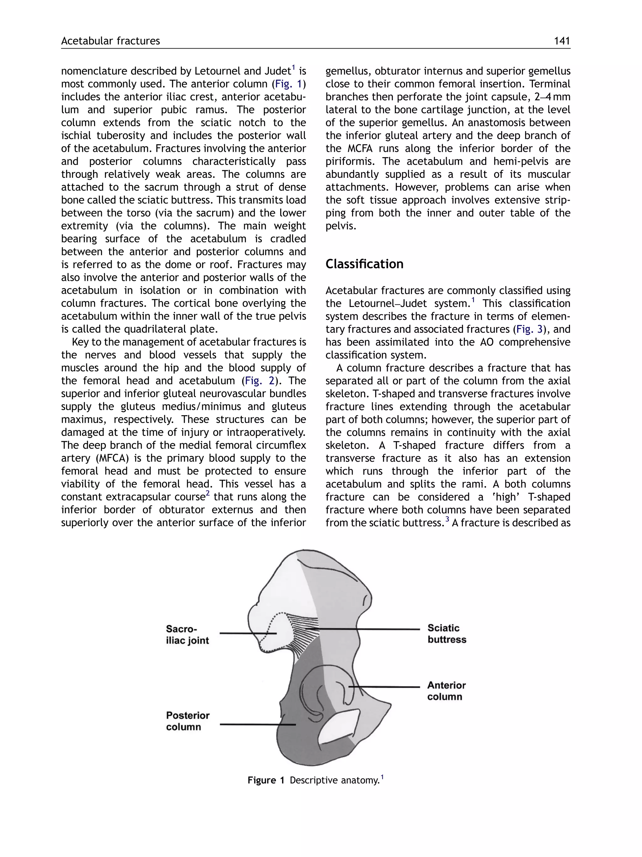 Acetabular fractures | PDF