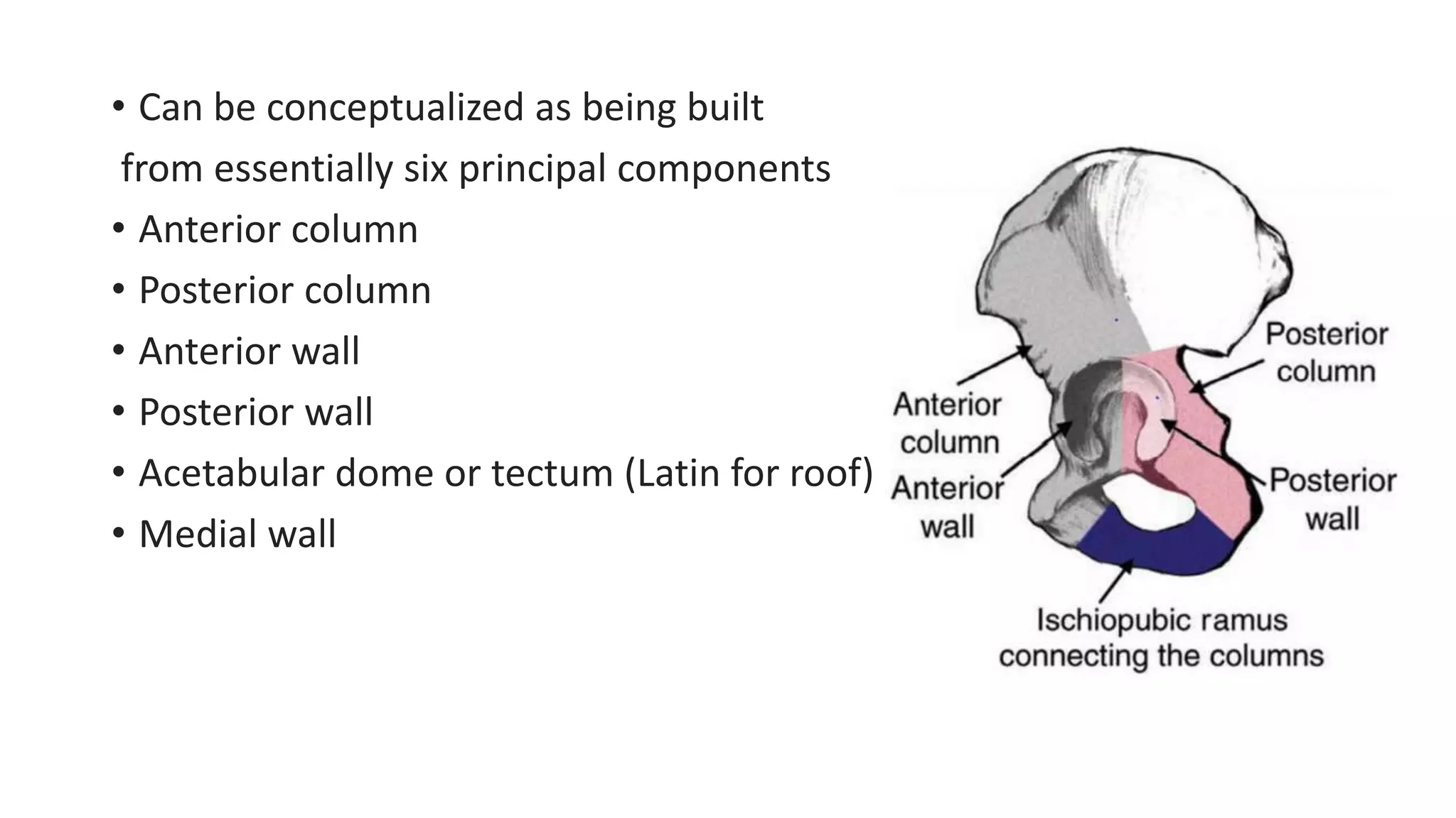 Acetabular fractures | PPTX