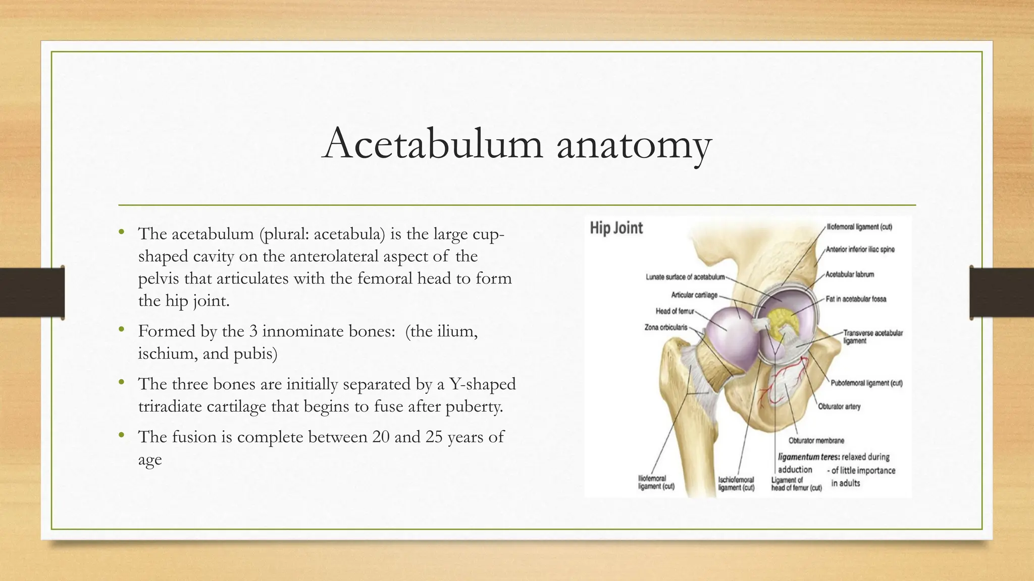 Acetabular fractures.powerpoint presentation | PPTX