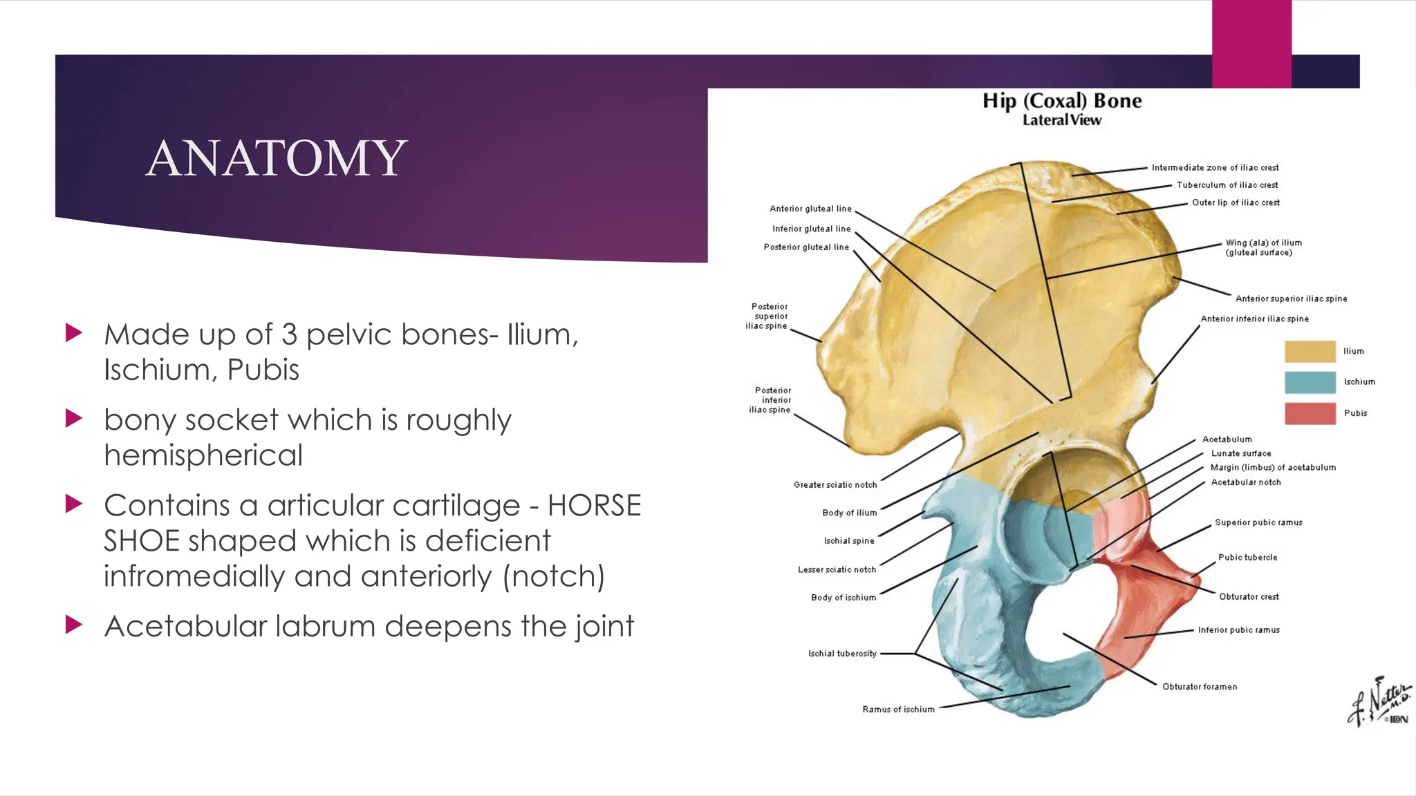 Acetabular fractures- Etiology , clinical features and management | PPTX