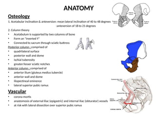 Acetabular Fractures a very brief summary | PPTX