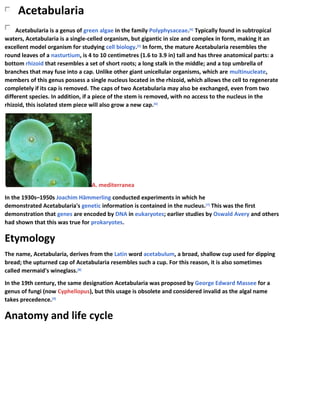 Acetabularia Information For Class 9 .docx