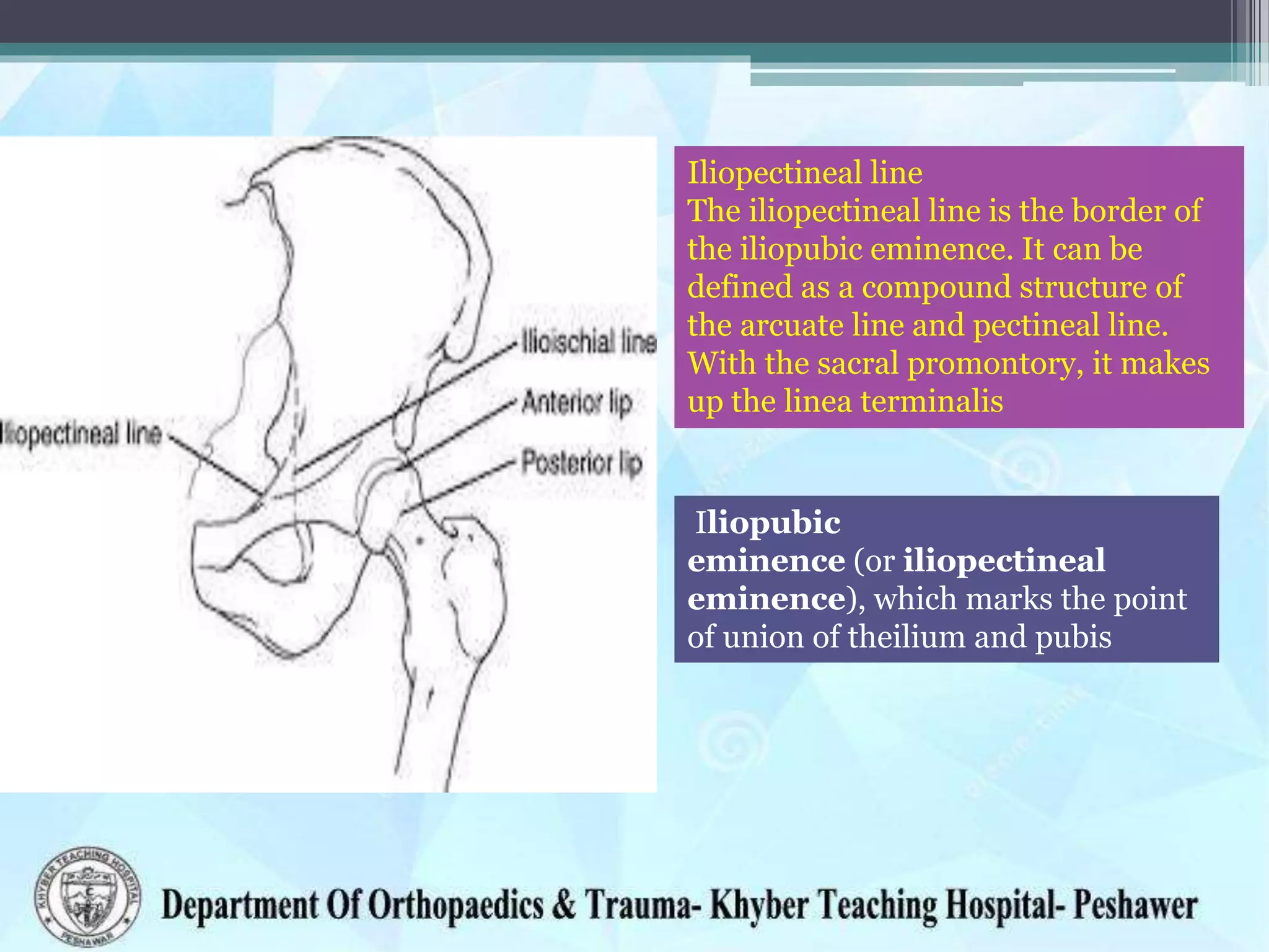 Acetabulum anatomy | PPTX