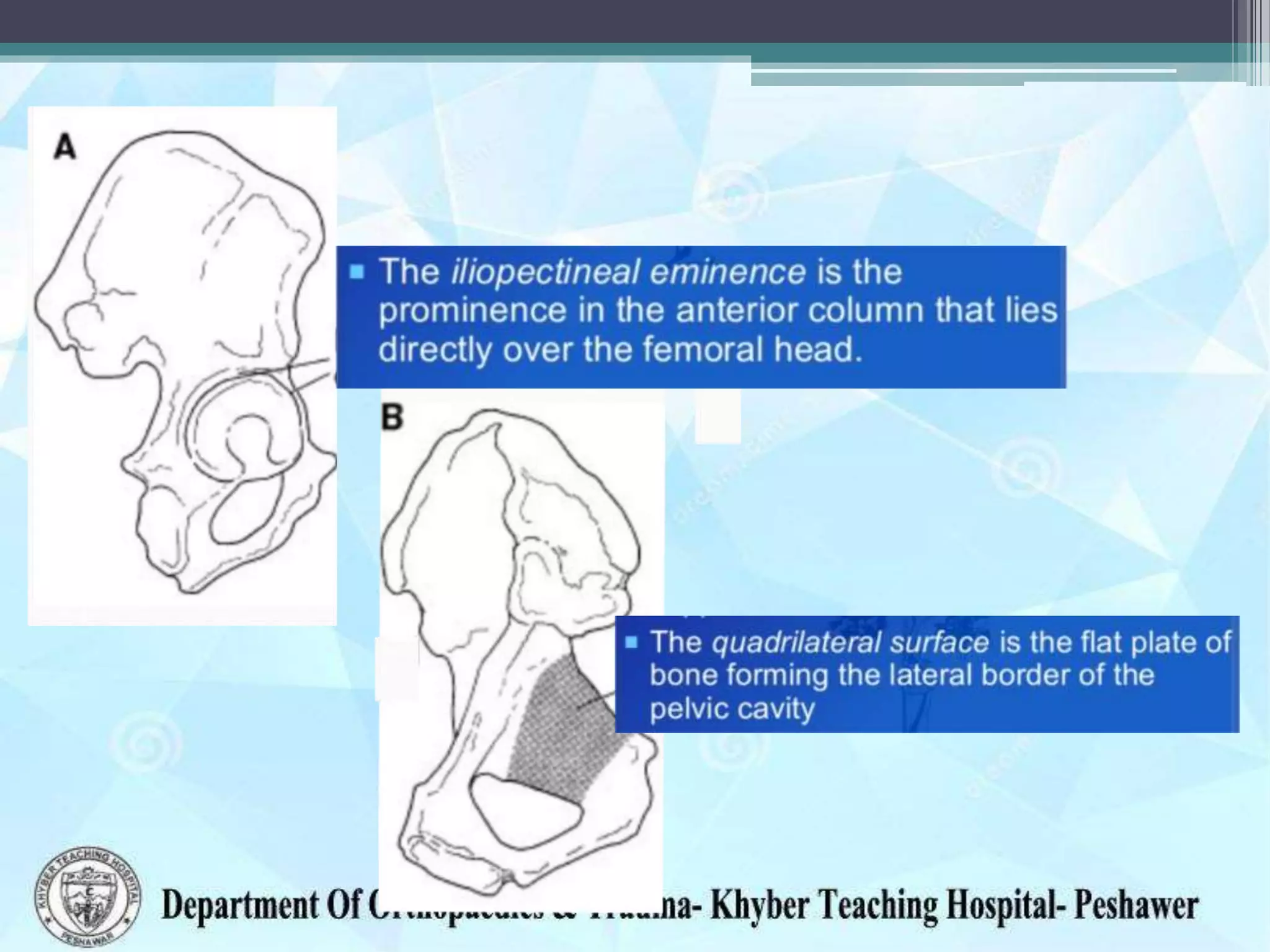 Acetabulum anatomy | PPTX