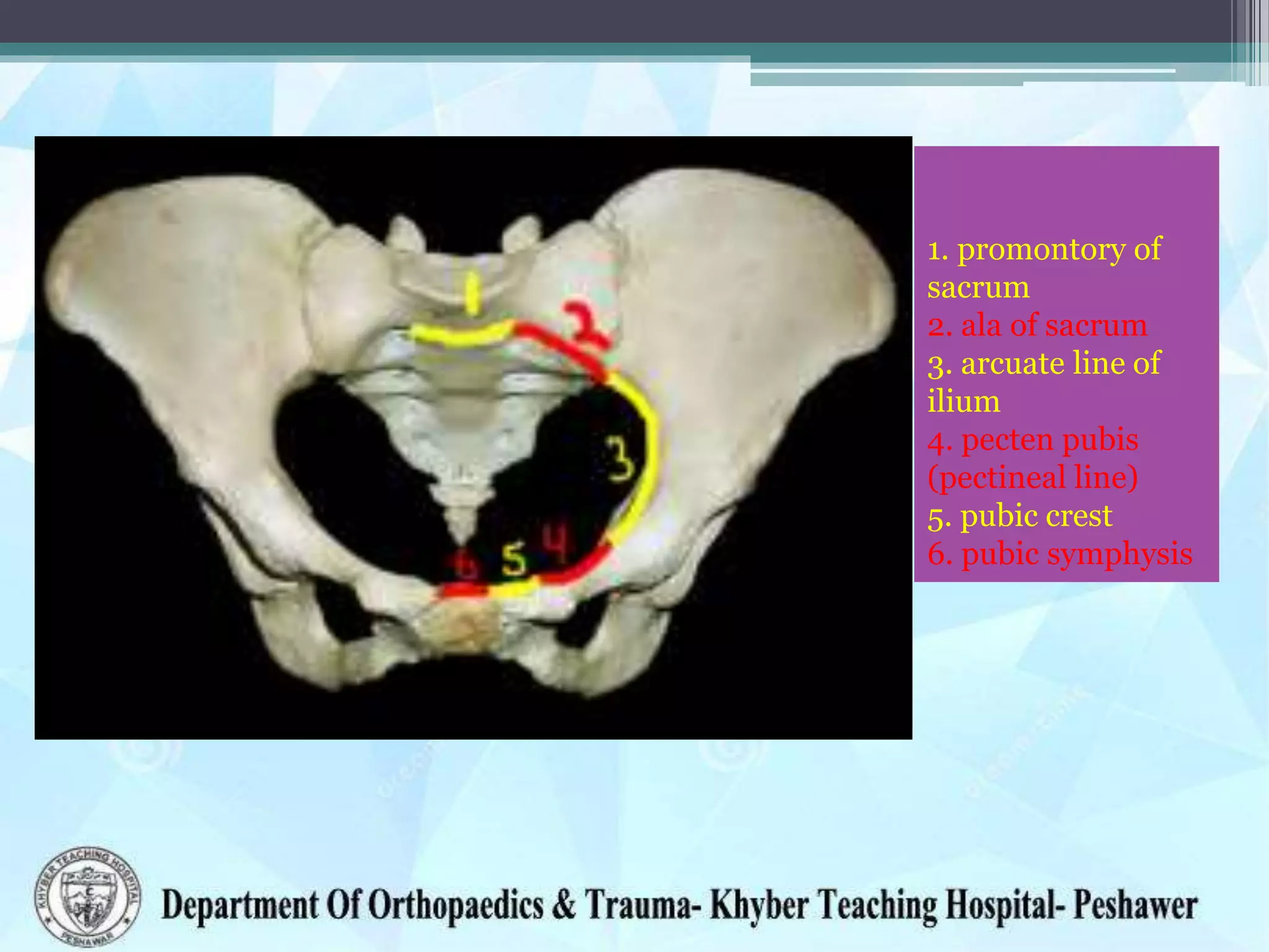 Acetabulum anatomy | PPTX