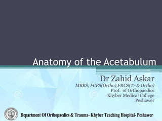 Acetabulum anatomy | PPT