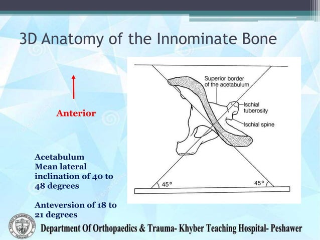 Acetabulum anatomy | PPTX