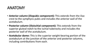 ACETABULUM And HIP DISLOCATION Report.pptx