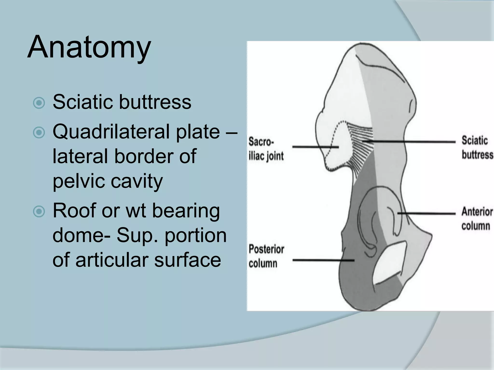 Acetabulum fractures | PPTX