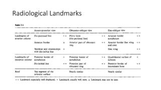 Acetabulum Fractures - Anatomy, Radiological Evaluation, Classification ...