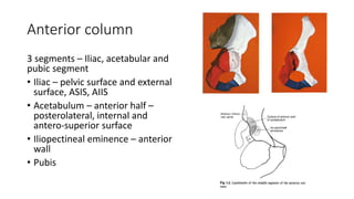 Acetabulum Fractures - Anatomy, Radiological Evaluation, Classification ...