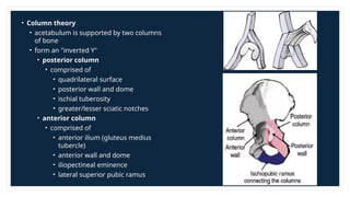 Acetabulum Fractures (in Pediatrics).pptx