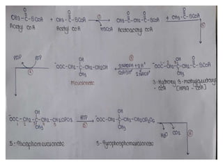 Acetate acid pathway | PPTX