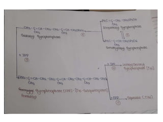 Acetate acid pathway | PPTX