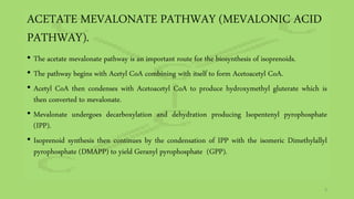 Acetate mevalonate pathway (mevalonic acid pathway).pdf