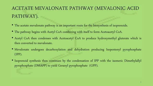 Acetate mevalonate pathway (mevalonic acid pathway).pdf